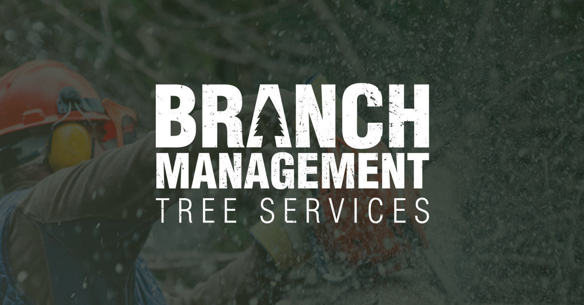 Branch Management Tree Services | Indianapolis Tree Service