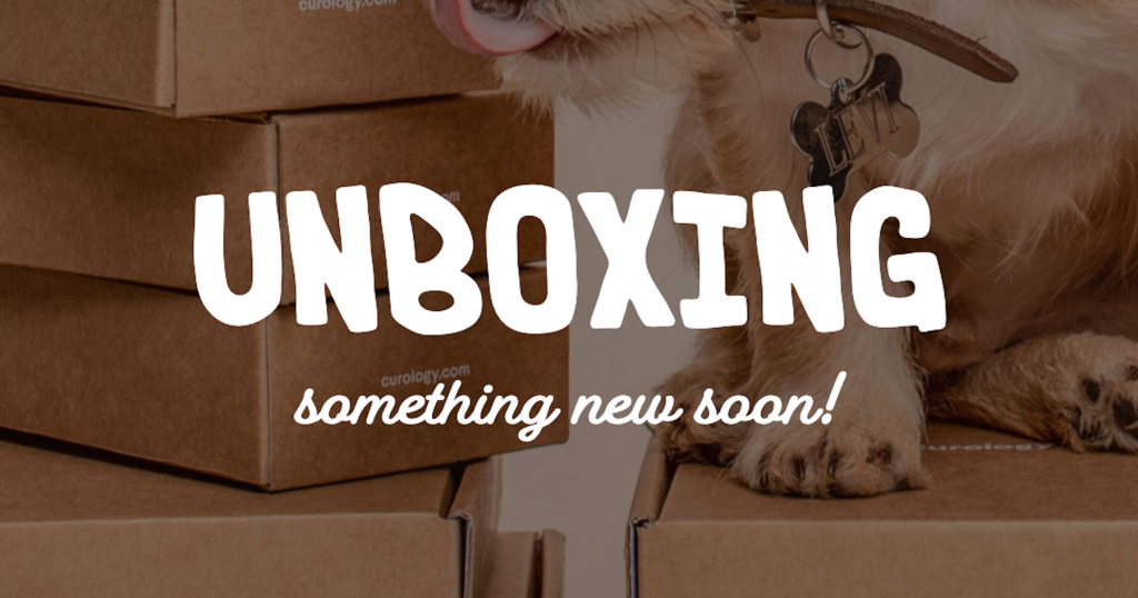 Ways to Announce Your New Website | Kicks Digital Marketing