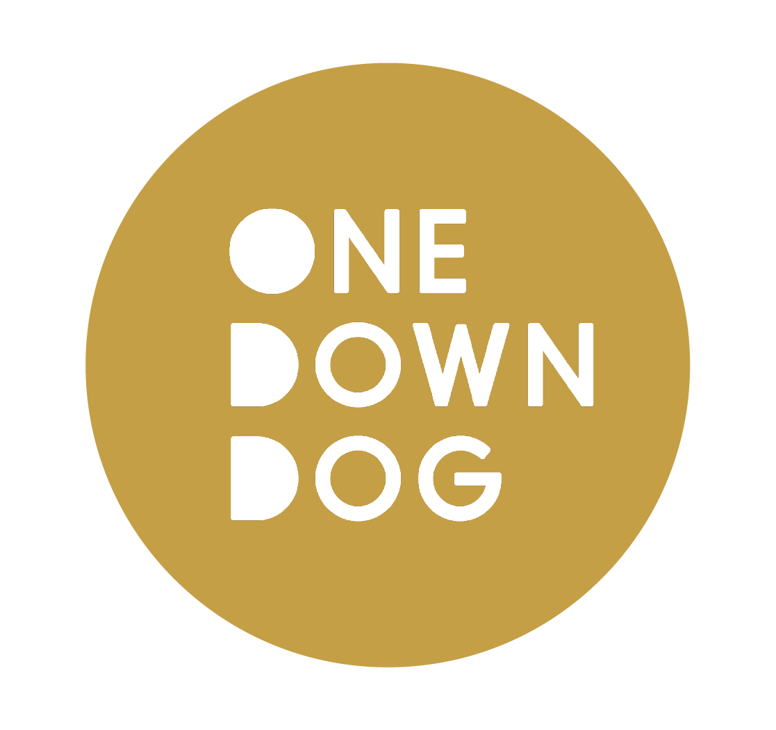 One Down Dog | Kicks Digital Marketing