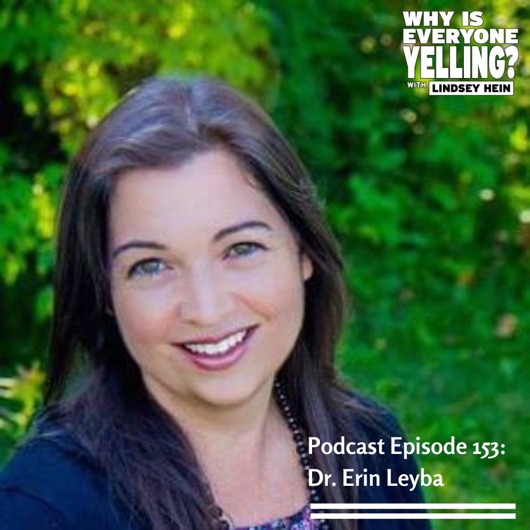 Episode 154: Dr. Erin Leyba - Joy Fixes for Weary Parents | SandyBoy ...